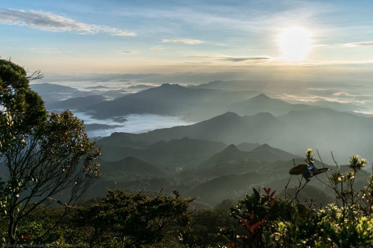 Beyond the Tourist Trail: Unique Places to Visit in Malaysia | Rough Guides