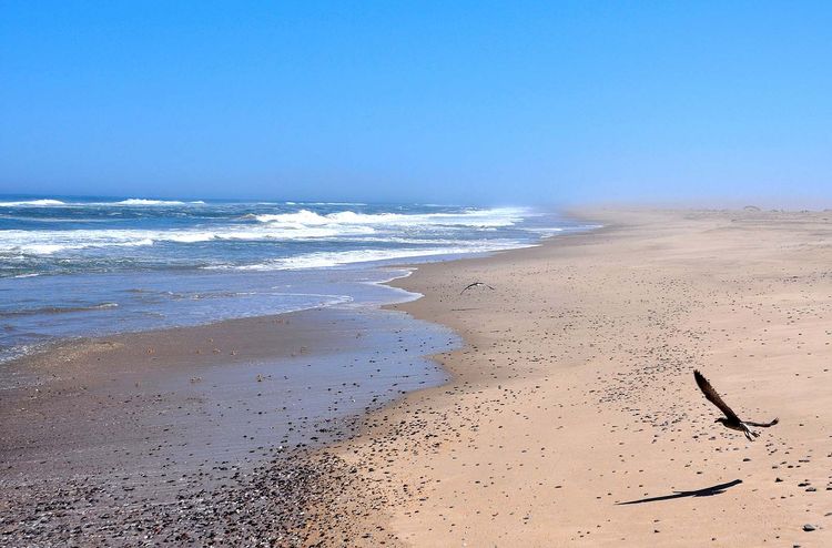 Best 16 beaches in Namibia | Our top picks | Rough Guides