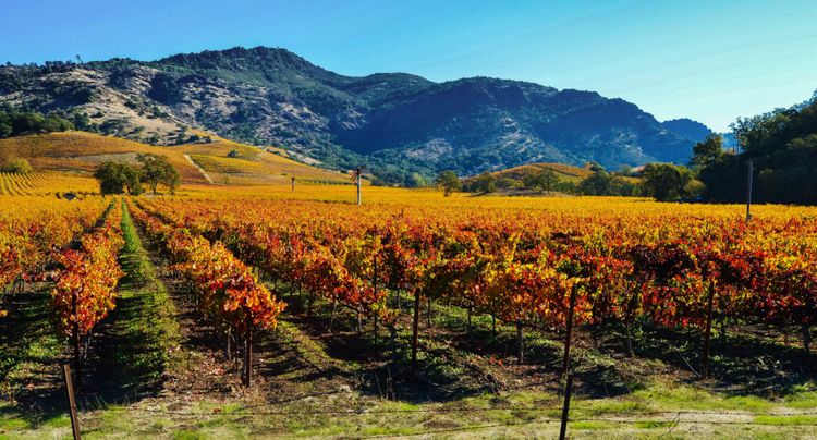 The best places to visit in the fall: autumn getaways | Rough Guides