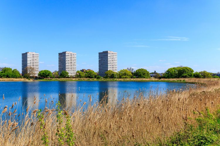 The 15 Best Walks In London | Our top picks | Rough Guides