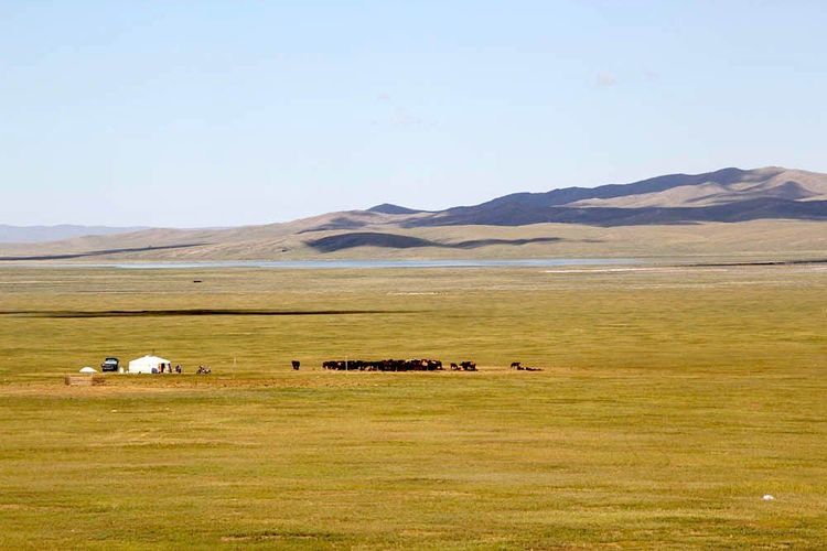 Pictures Of Mongolia | Travel Photography | Rough Guides