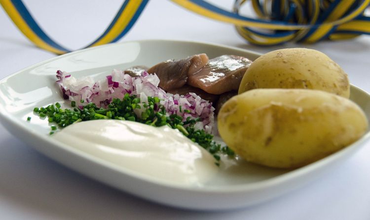 15 Best Things To Do In Lithuania & Places To See | Rough Guides