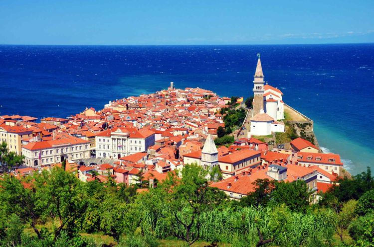 Exploring Slovenia's diverse coastline | Rough Guides