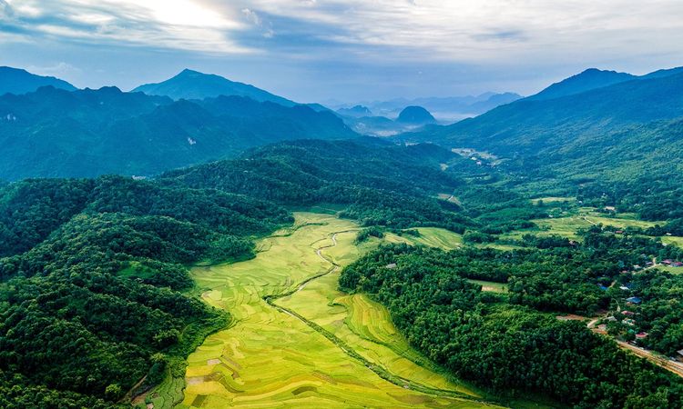 12 best rice fields of Vietnam | Rough Guides