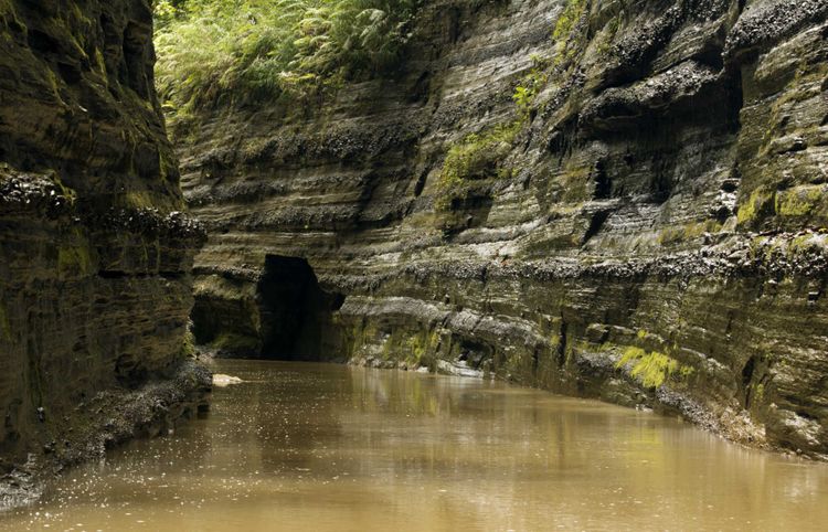 24 Best Things To Do In Fiji & Places To See | Rough Guides