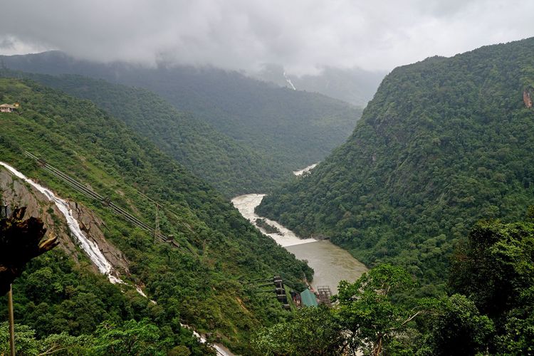 India Wildlife: A Complete Guide | Rough Guides