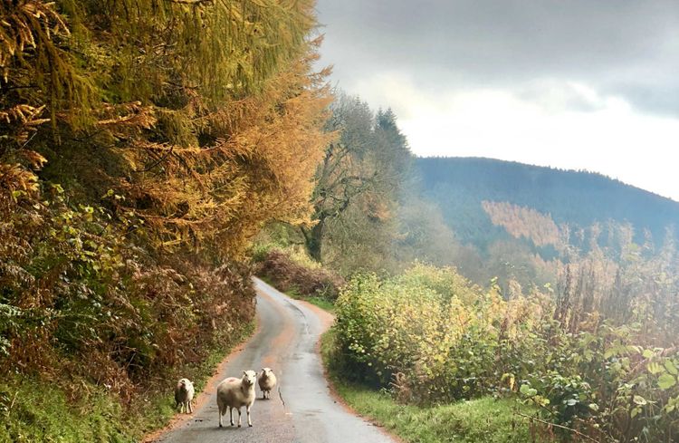 11 Breathtaking Welsh Views | Rough Guides