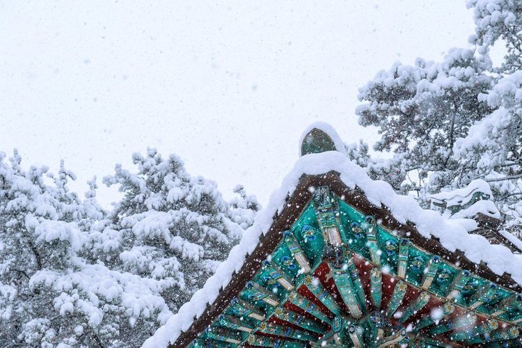 Do traditional Christmas in South Korea | Rough Guides