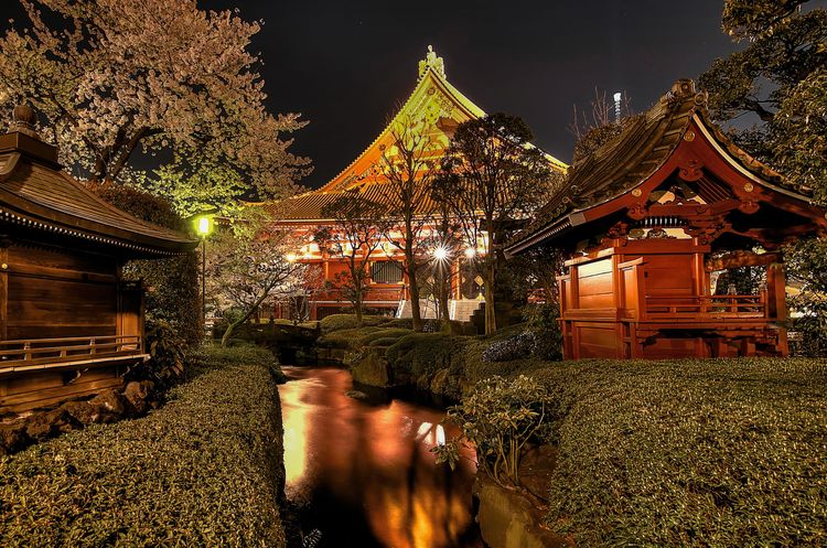 15 Stunning Pictures of Japan | Travel Photography | Rough Guides