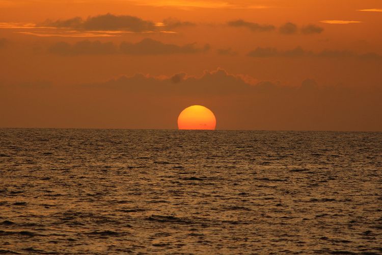 Best beaches to visit in Kerala, India | Our top picks | Rough Guides
