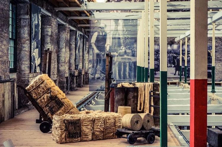 7 Reasons To Visit Dundee & Angus | Rough Guides