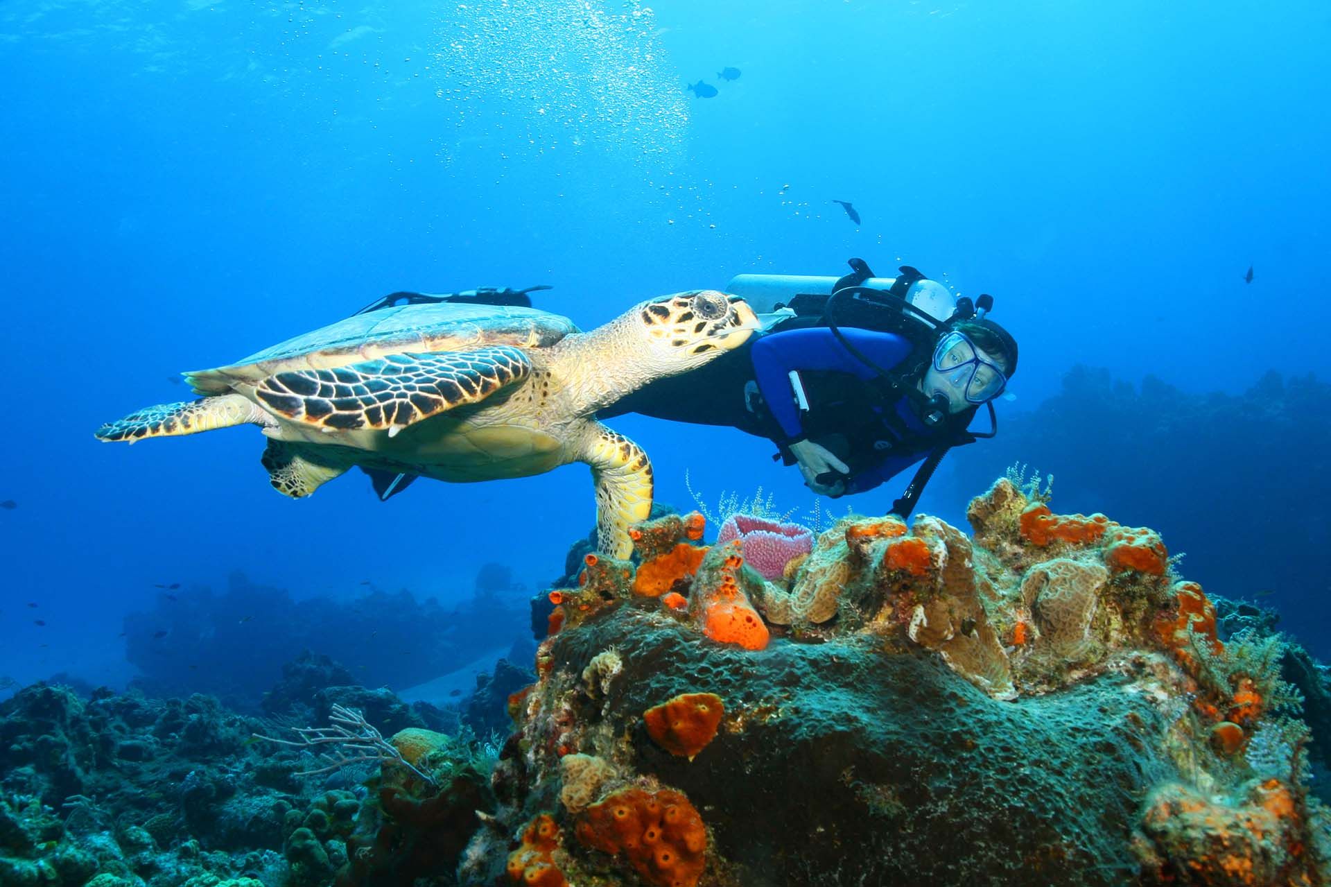 World s Best Adventure Holidays Rough Guides