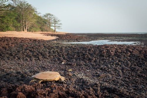 In pictures: an introduction to Guinea Bissau | Rough Guides