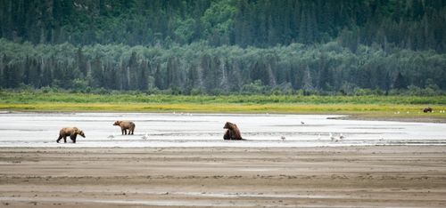 The Most Beautiful Places to Visit in Alaska | Rough Guides