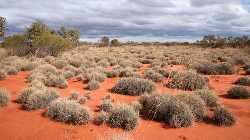 The Most Spectacular Deserts Around The World | Rough Guides