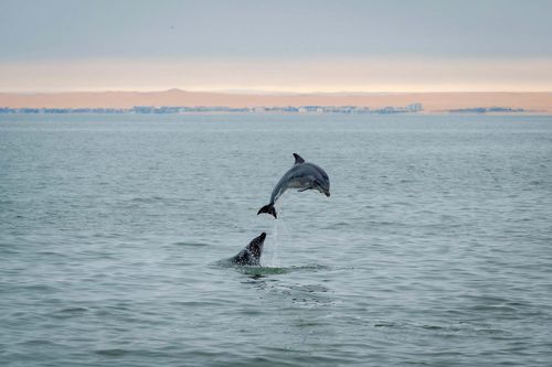 Best 16 beaches in Namibia | Our top picks | Rough Guides