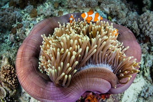 Indonesia beyond Bali: 7 places off the tourist trail | Rough Guides