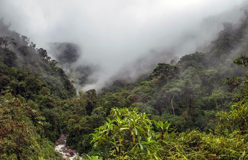 Best National Parks to Visit in Peru | Our Top Picks | Rough Guides