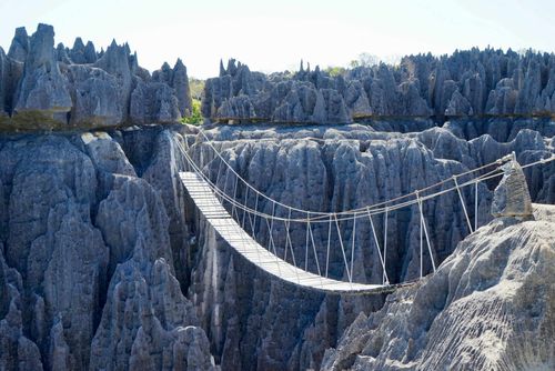 Madagascar itinerary (7, 10 & 14 days) | Plan with experts | Rough Guides