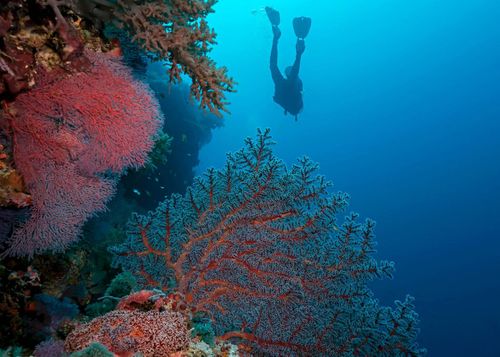 How to plan a trip to the Philippines | Rough Guides