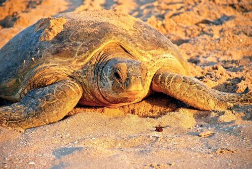 Try Oman winter sun for a perfect escape | Rough Guides