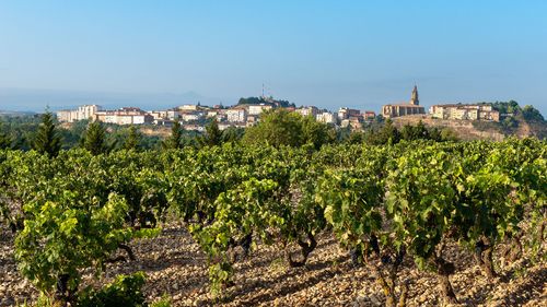 Weather in Spain in July | Rough Guides