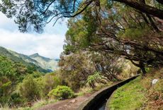 Weather in Madeira in April | Rough Guides | Rough Guides