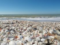 Weird Florida: Unusual Things To Do In Florida | Rough Guides