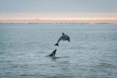 Best 16 beaches in Namibia | Our top picks | Rough Guides