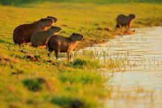 Weather in Brazil in September | Rough Guides