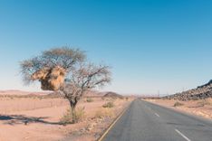 The Northern Cape What to do in The Northern Cape | Rough Guides