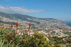 Weather in Madeira in October Travel Guide | Rough Guides